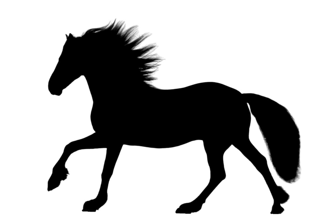 Black Stallion SVG Clipart Silhouette Horse Pony - Etsy