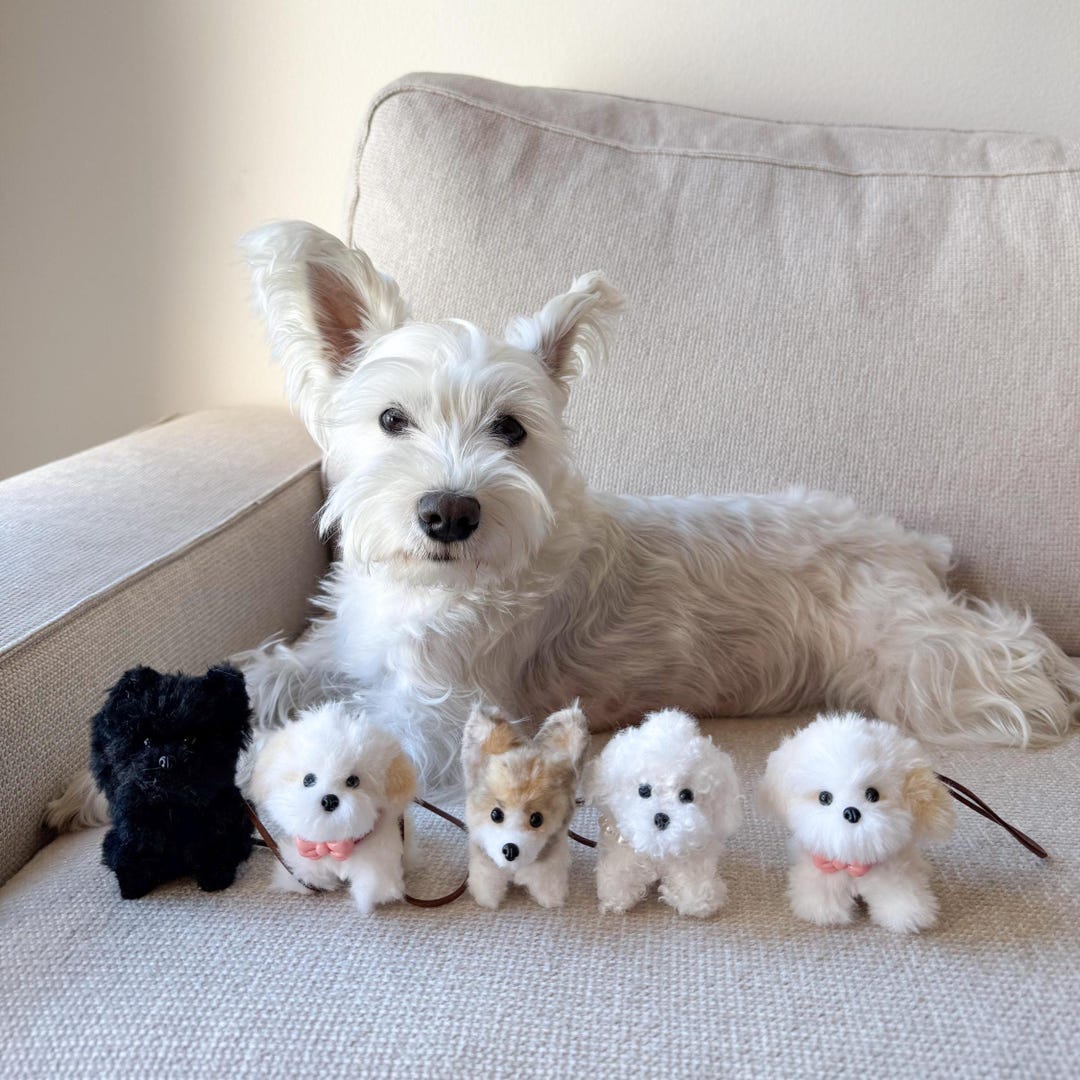 Custom Dog Cat Plush, Handmade Pet Plush, Cute Cat Dog Plush, Gift for ...