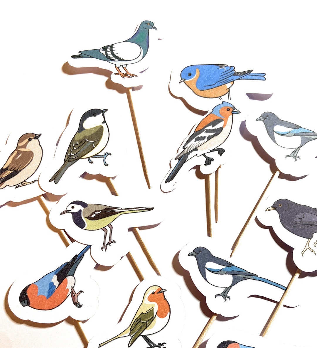 12 Bird Cake Toppers, London Pigeon Bird Cake Decorations, Nature Food ...