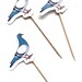12 Pigeon Cake Toppers, Pigeon Cake Decorations, Nature Food Sticks ...