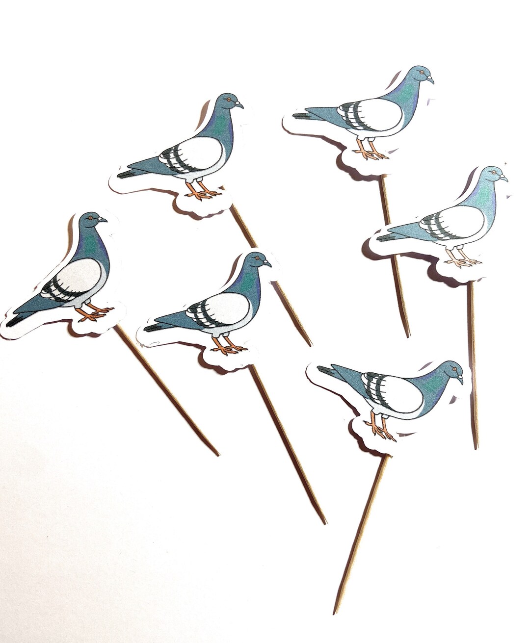 12 Pigeon Cake Toppers, British Bird Cake Decorations, Nature Food ...