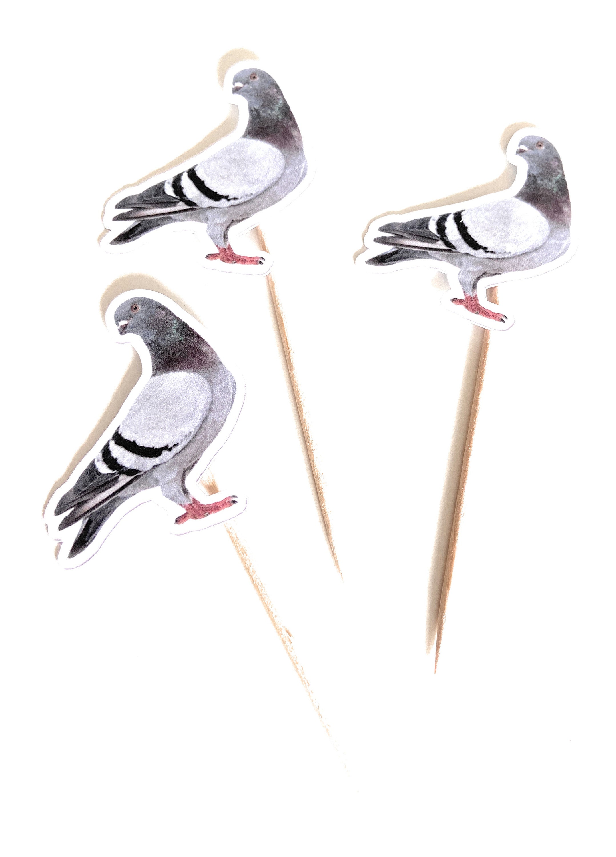 12 Pigeon Cake Toppers, Pigeon Cake Decorations, Nature Food Sticks ...