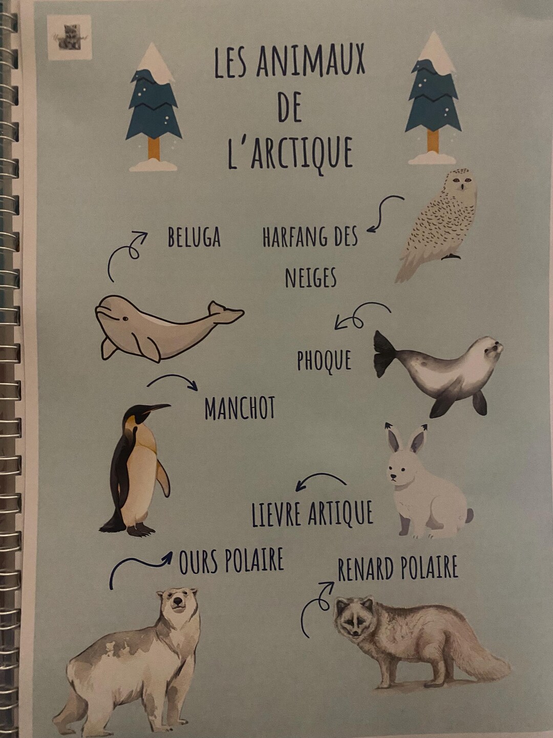 A4 Poster of Arctic Animals - Etsy Canada