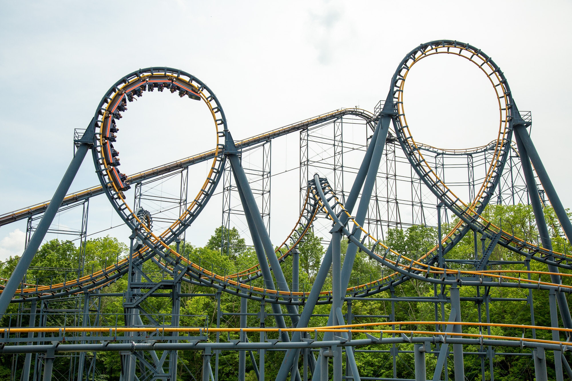 Vortex Roller Coaster