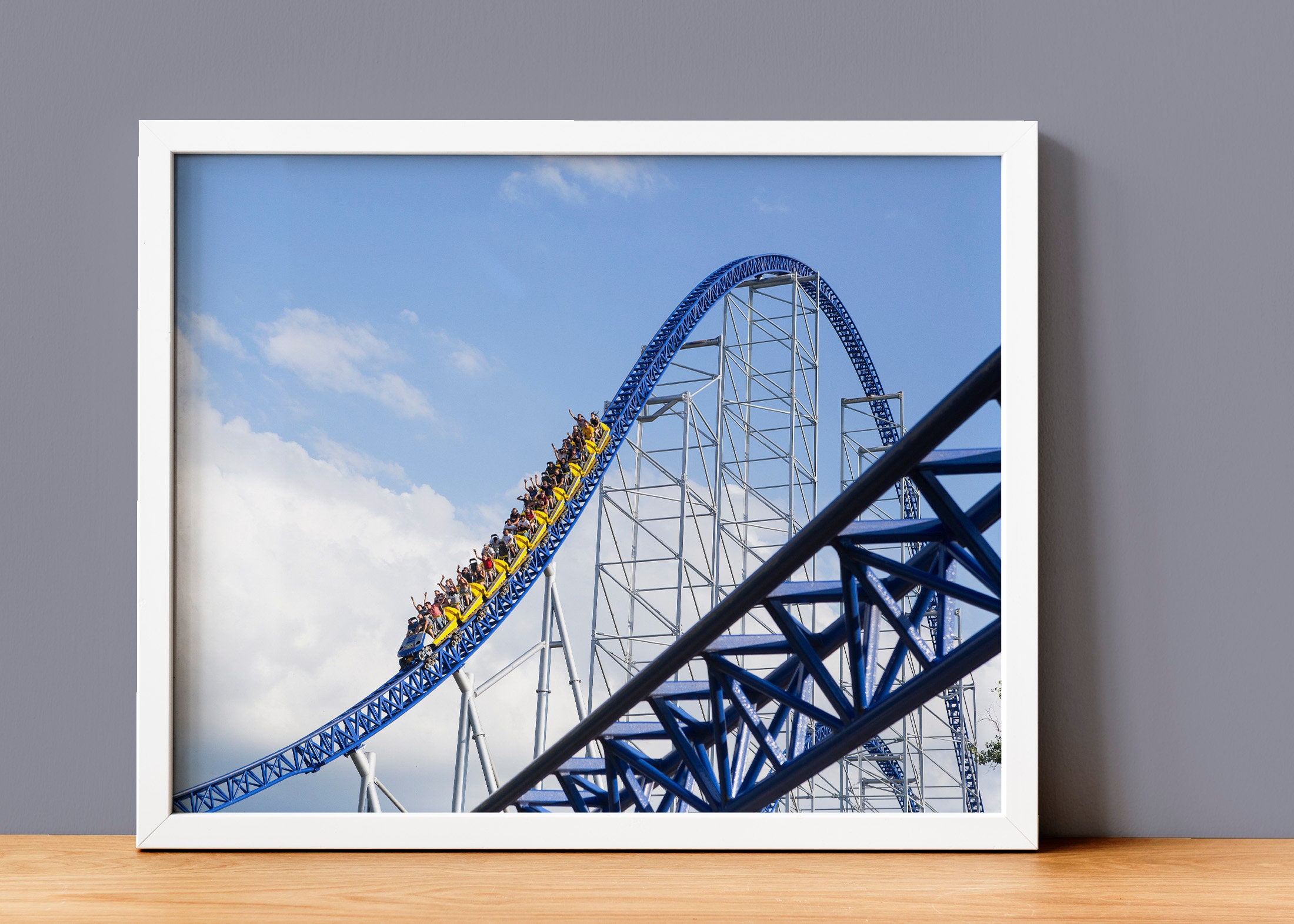 Millennium Force Roller Coaster
