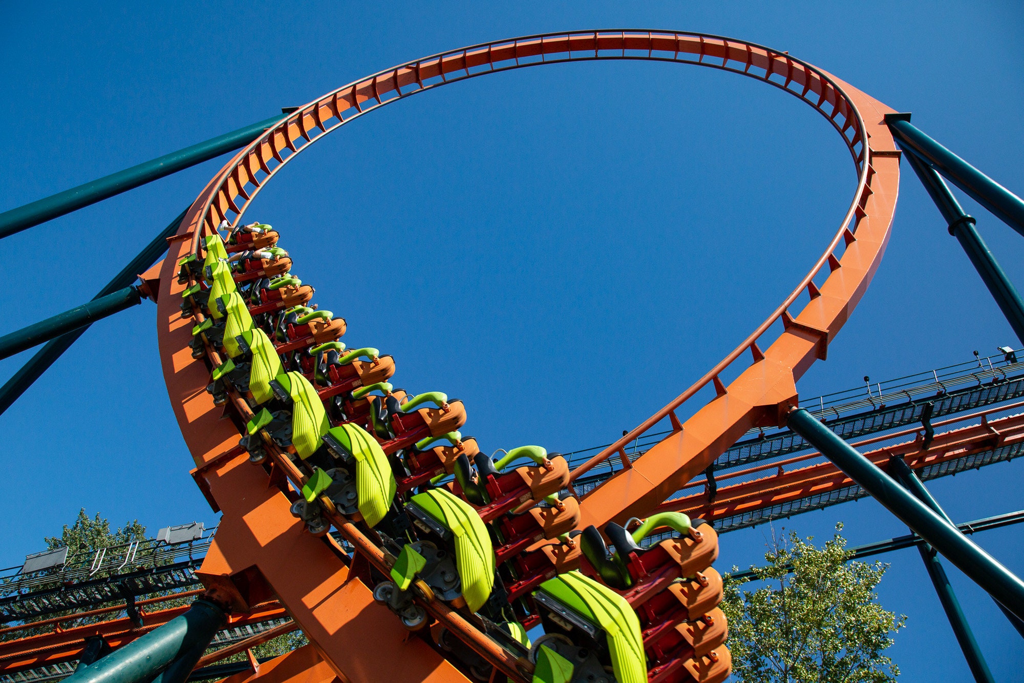 Cedar Point Rougarou Roller Coaster Poster Print or Canvas | Etsy