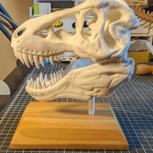 T-rex Skull 3D Print STL File: Dinosaur Fossil Replica (digital ...