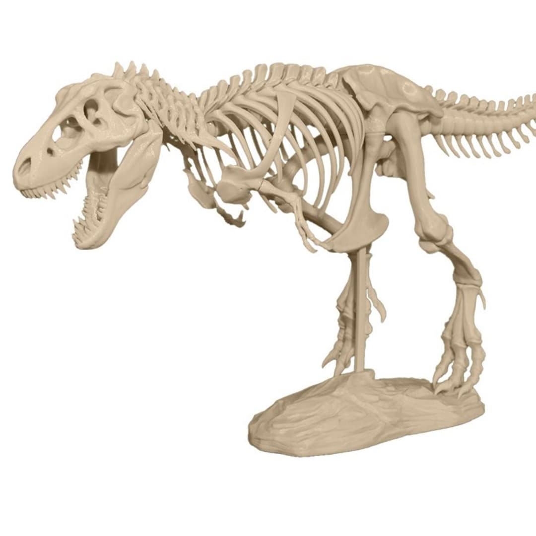 T-rex Full Skeleton 3D STL File for 3D Printing, Highly Detailed ...