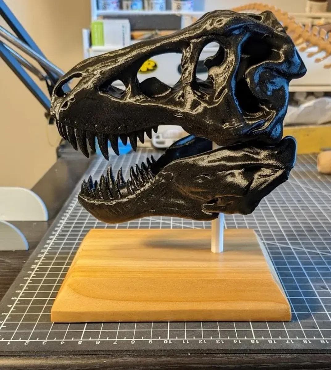 T-rex Skull 3D Print STL File: Dinosaur Fossil Replica (digital ...