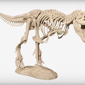 T-rex Full Skeleton 3D Model STL File: Dinosaur Fossil Replica (digital ...