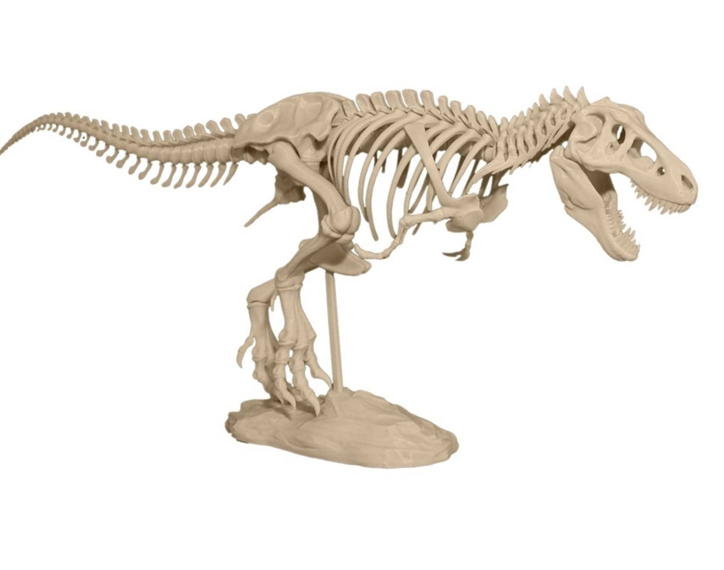 T-rex Full Skeleton 3D Model STL File: Dinosaur Fossil Replica (digital ...