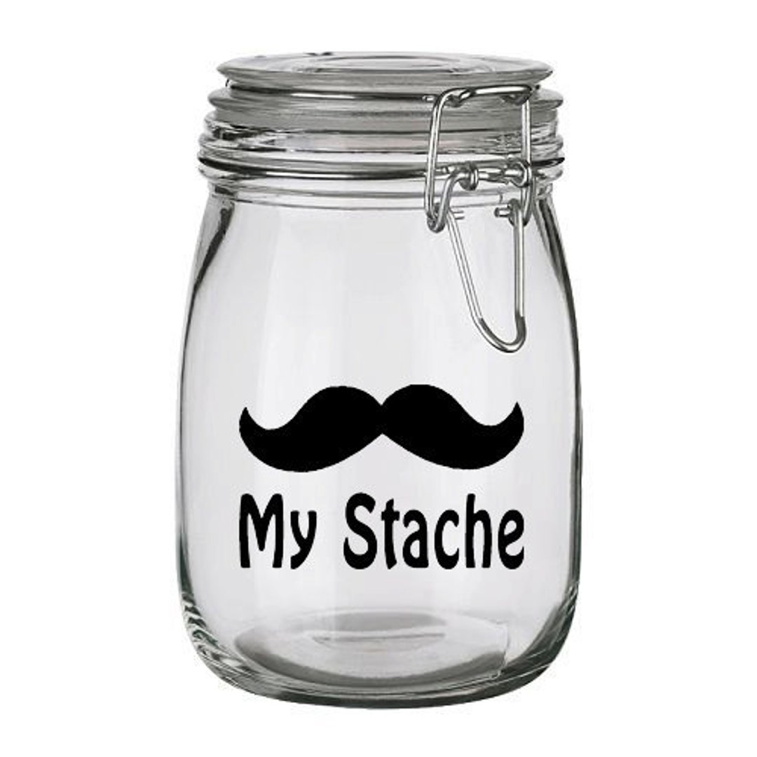 My Stache Vinyl Wall Art - Piggy Bank Sticker - Vinyl Decal - Vinyl ...