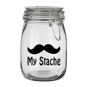 My Stache Vinyl Wall Art - Piggy Bank Sticker - Vinyl Decal - Vinyl ...