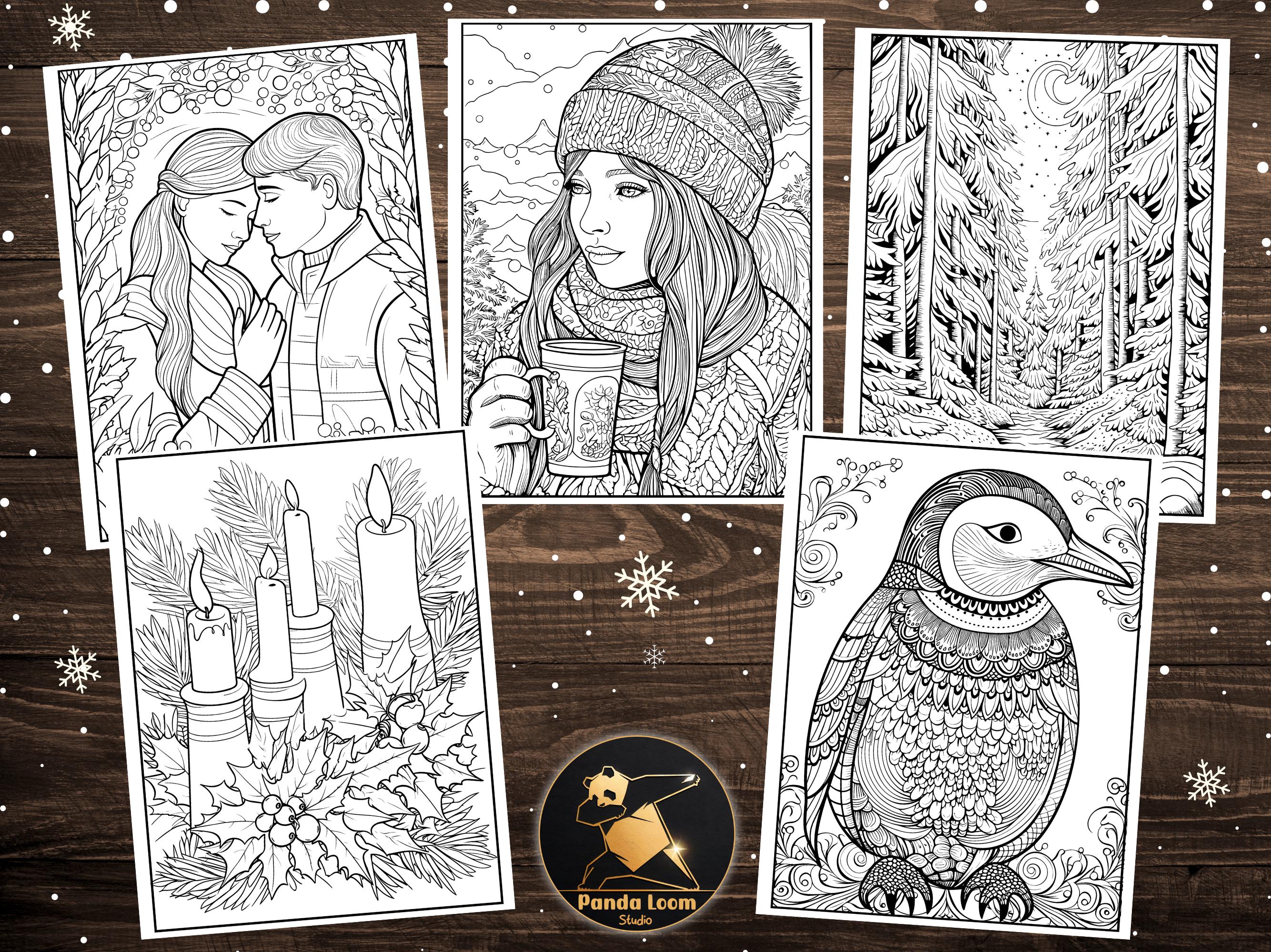 Christmas Coloring Book for Adults: 40 Pages Featuring Beautiful ...