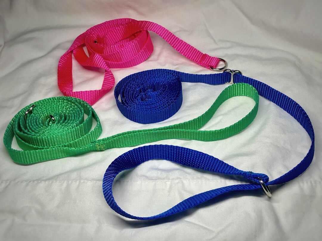 Slip Lead With Stopper for Dogs, Leashes for Kennel, Training, Show or ...