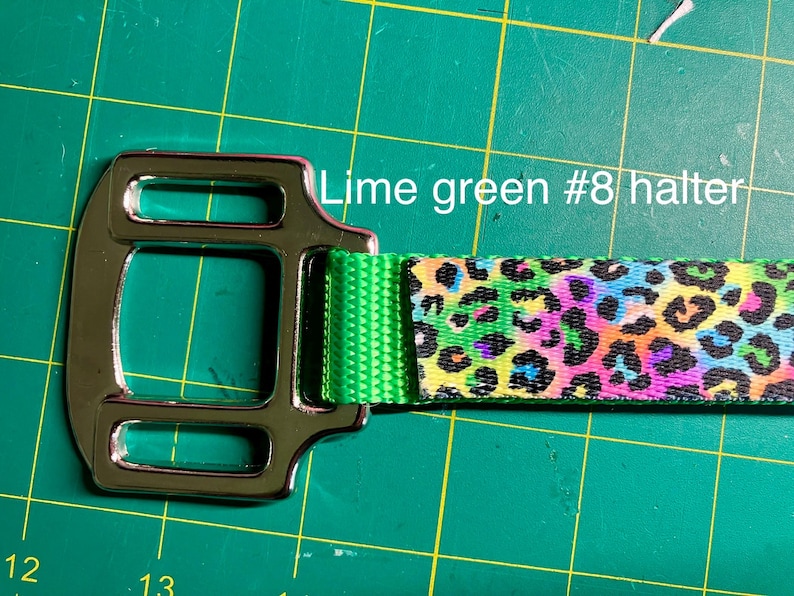 Rainbow Leopard Print Pattered Horse Halter, Personalized Embroidered ...
