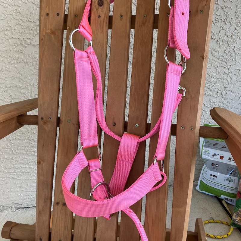 Pink Draft Horse Tack - Etsy