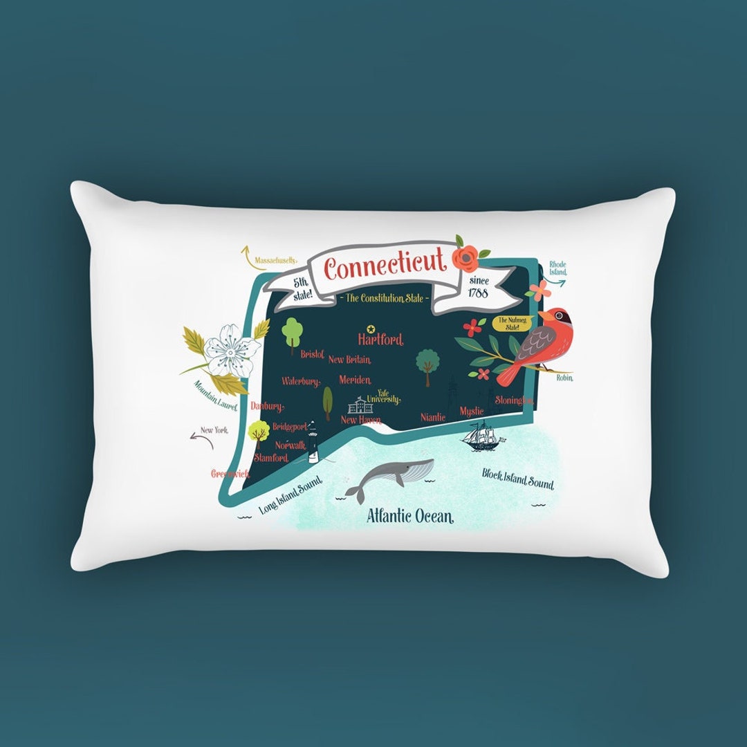 Connecticut Illustrated Map Design Canvas Pillow Cover - Etsy