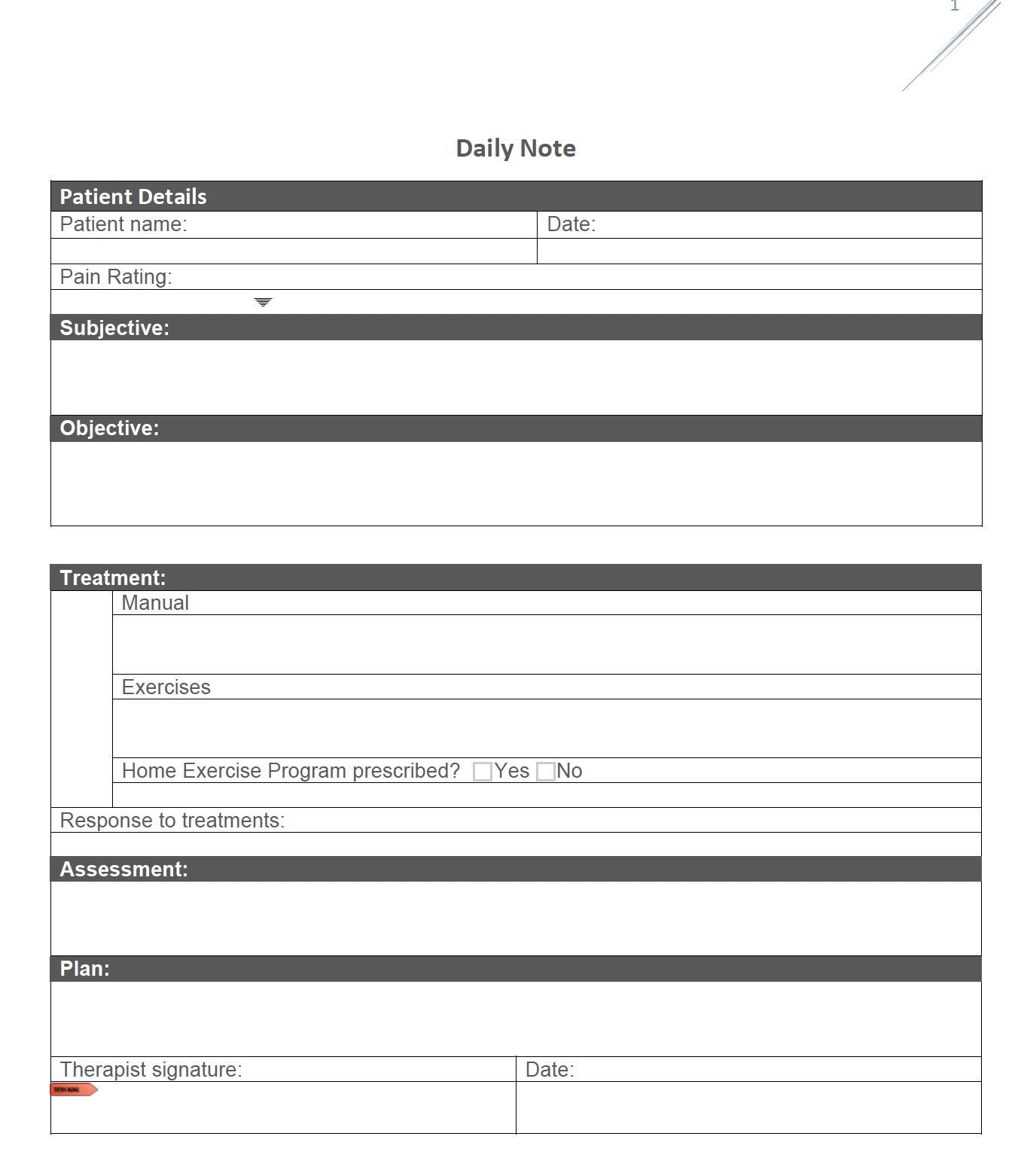 Physical Therapy Daily Note Template - Etsy