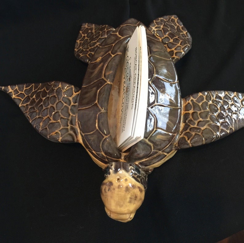 Sea Turtle Kemp's Ridley Tortoise Loggerhead Baby Sea Turtle Business ...