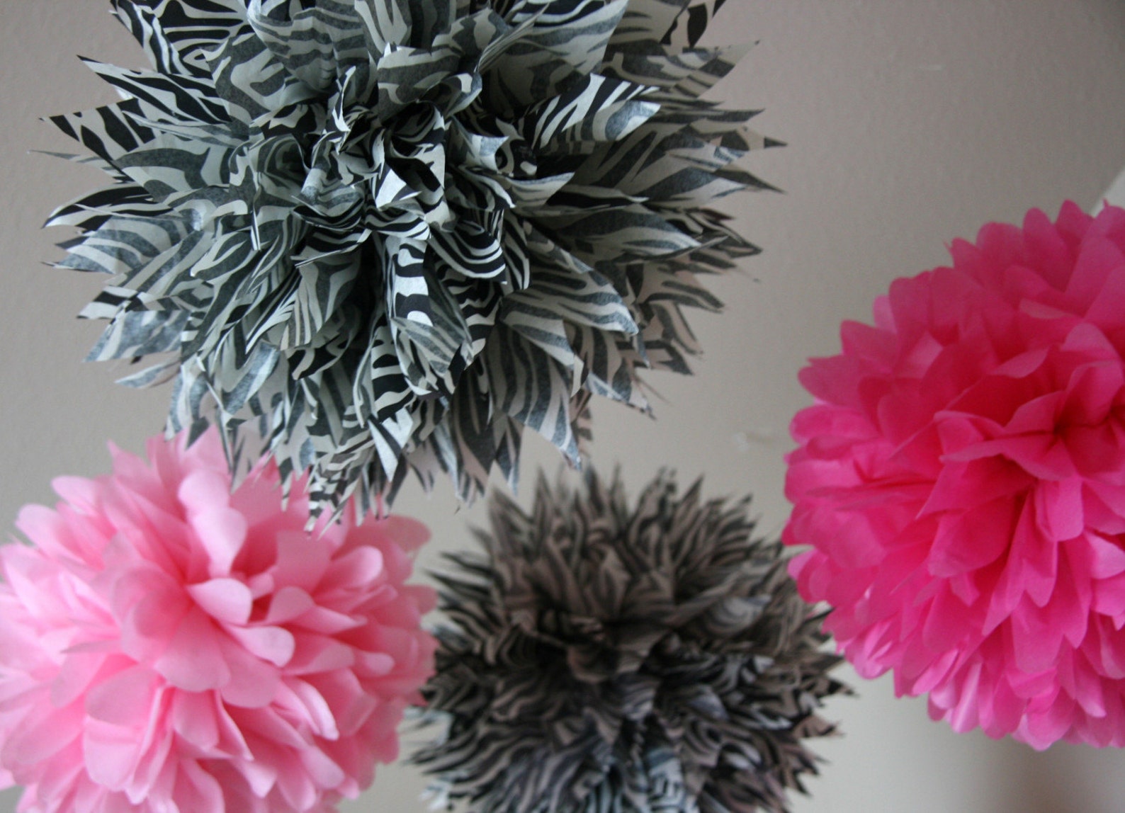 Zebra One Pom - Etsy