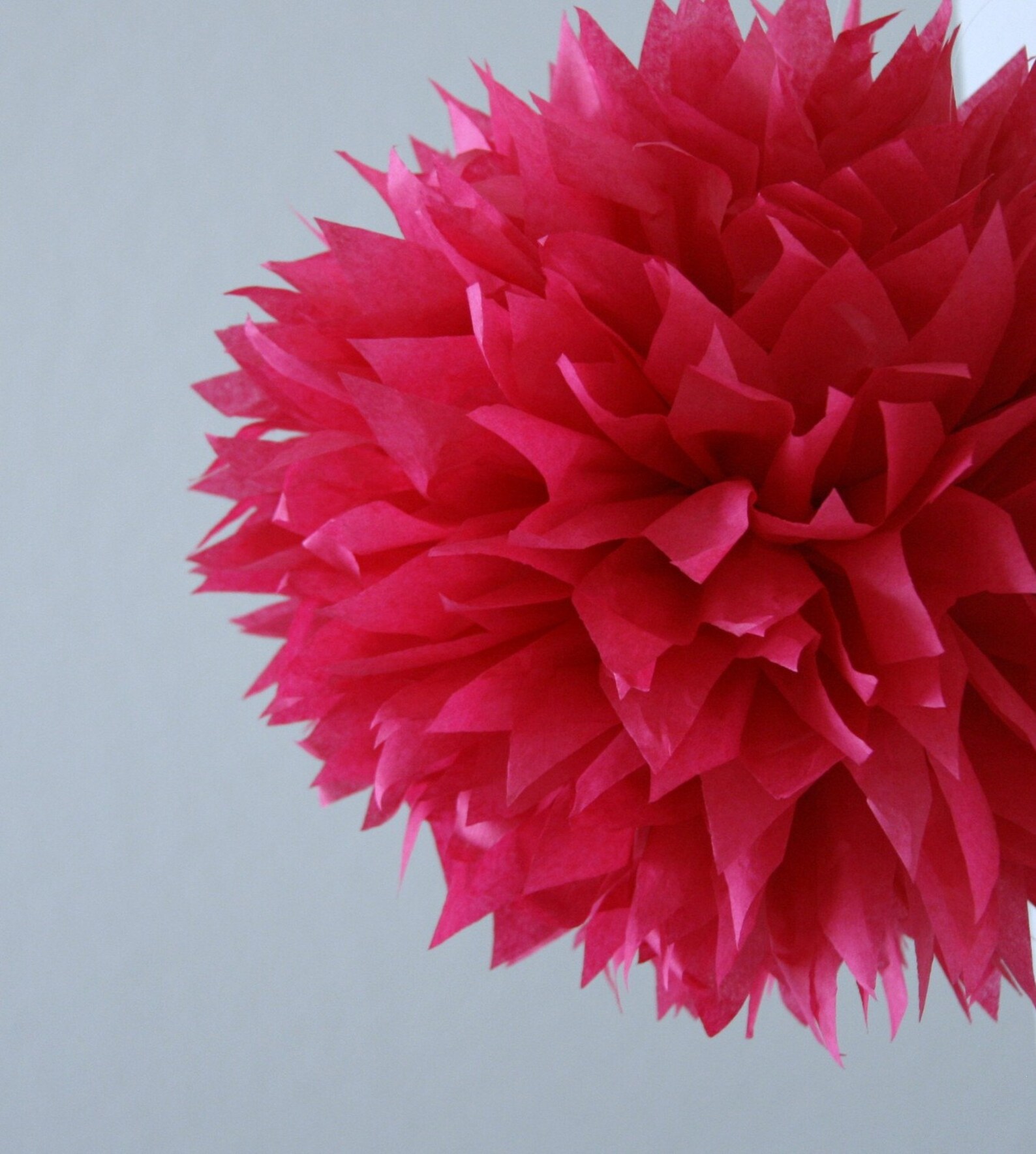 Boysenberry One Pom - Etsy