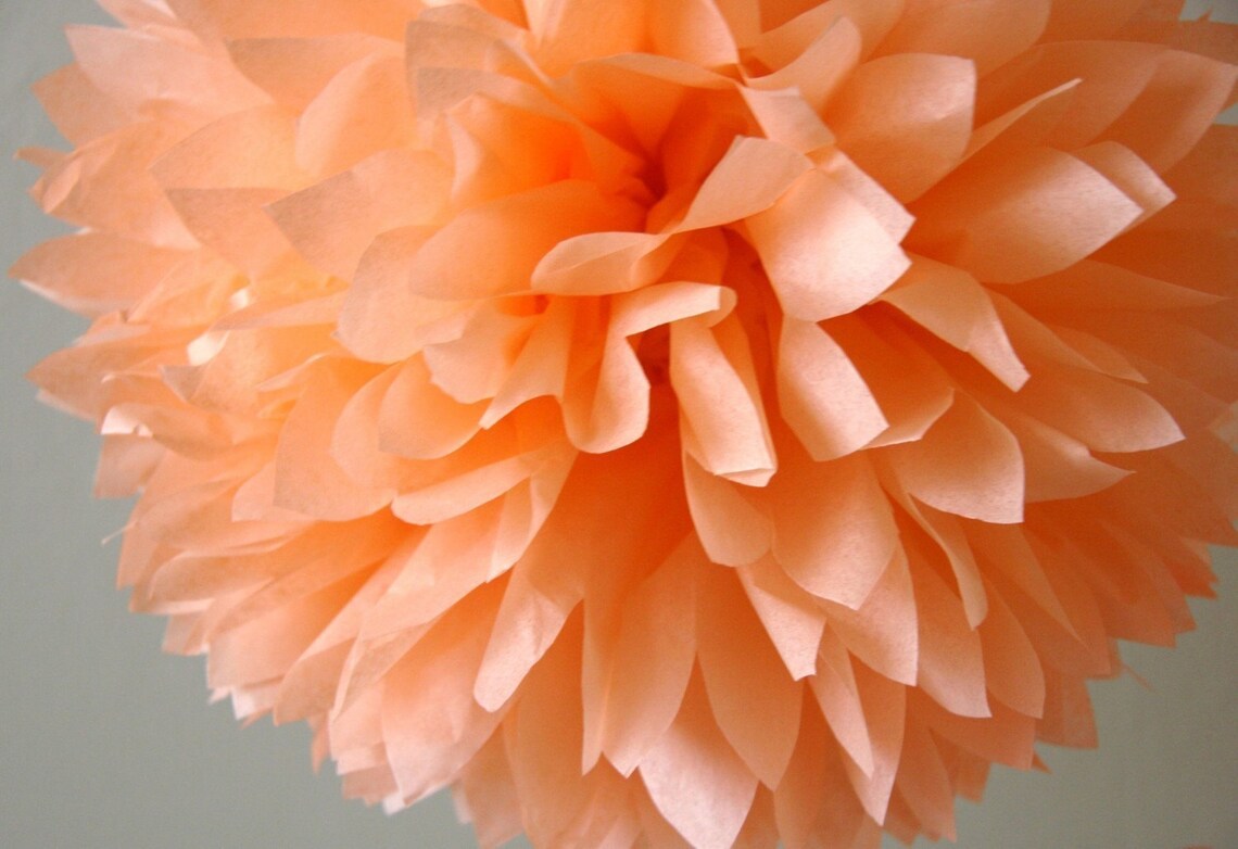 Peach Tissue Pom .. Birthday / Wedding Decoration - Etsy