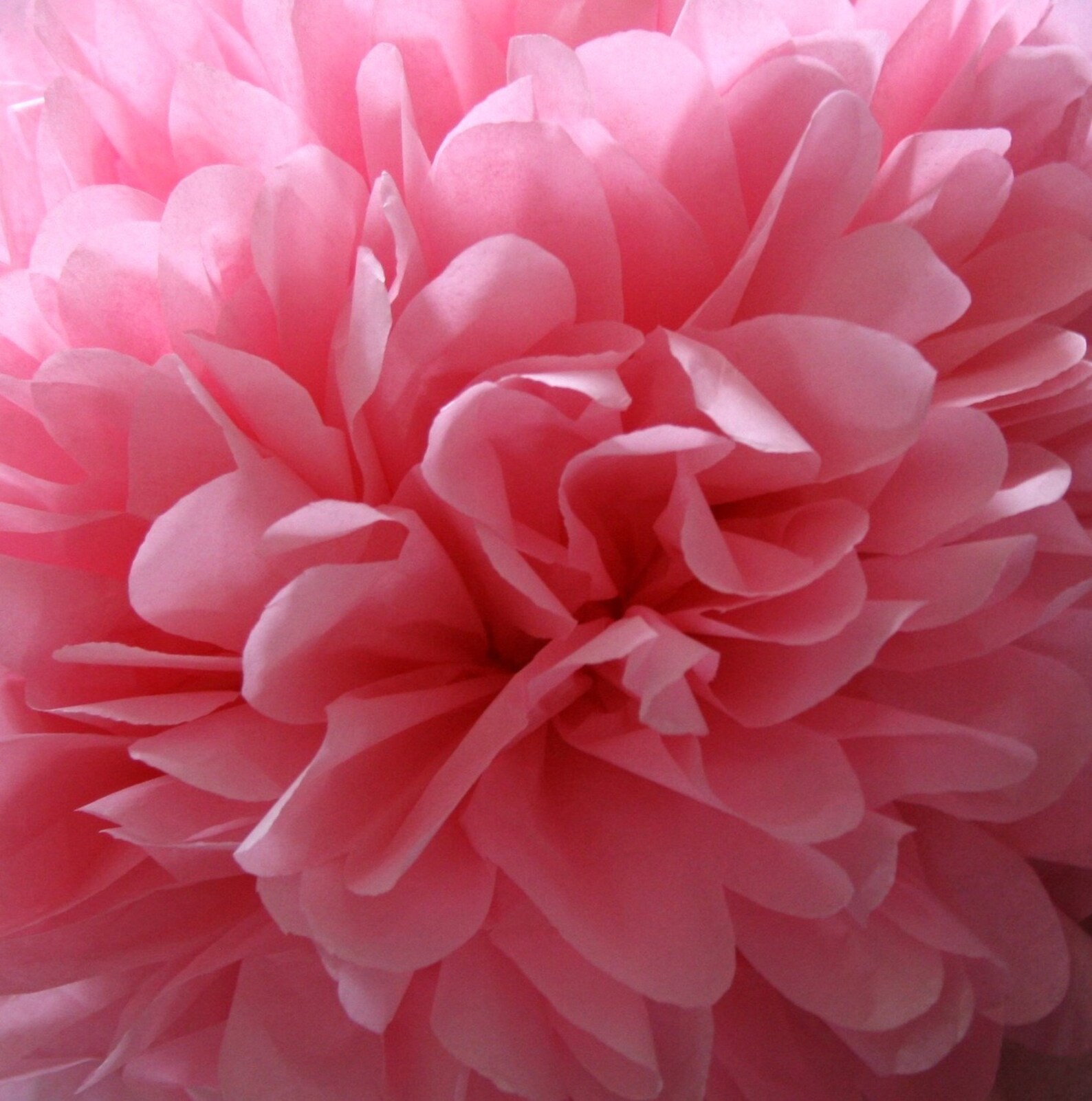 Dark Pink One Pom - Etsy