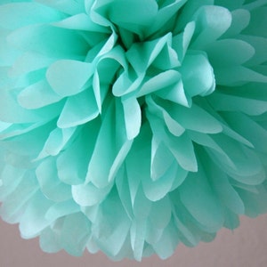 Aqua Tissue Paper Pom - Etsy