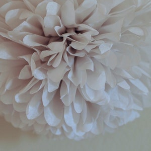 Oyster - One Pom - Etsy