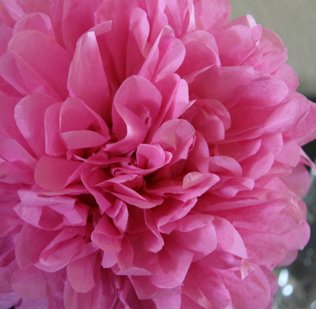 Mauve - One Pom - Etsy