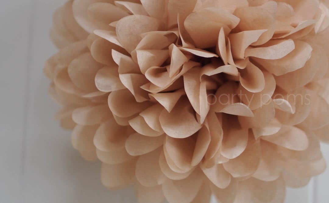 Tan Tissue Paper Pom .. Nursery Decor / Wedding Decor - Etsy