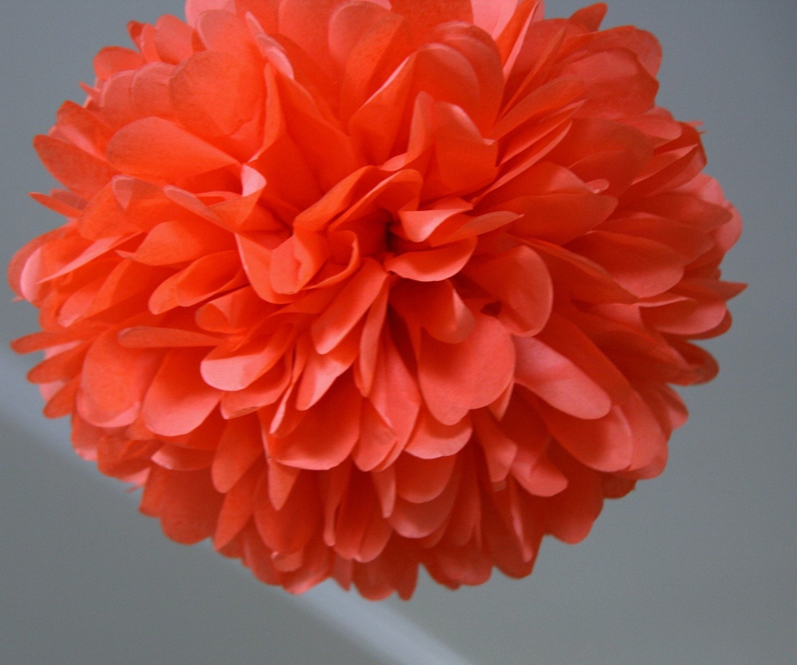 Poppy One Pom - Etsy