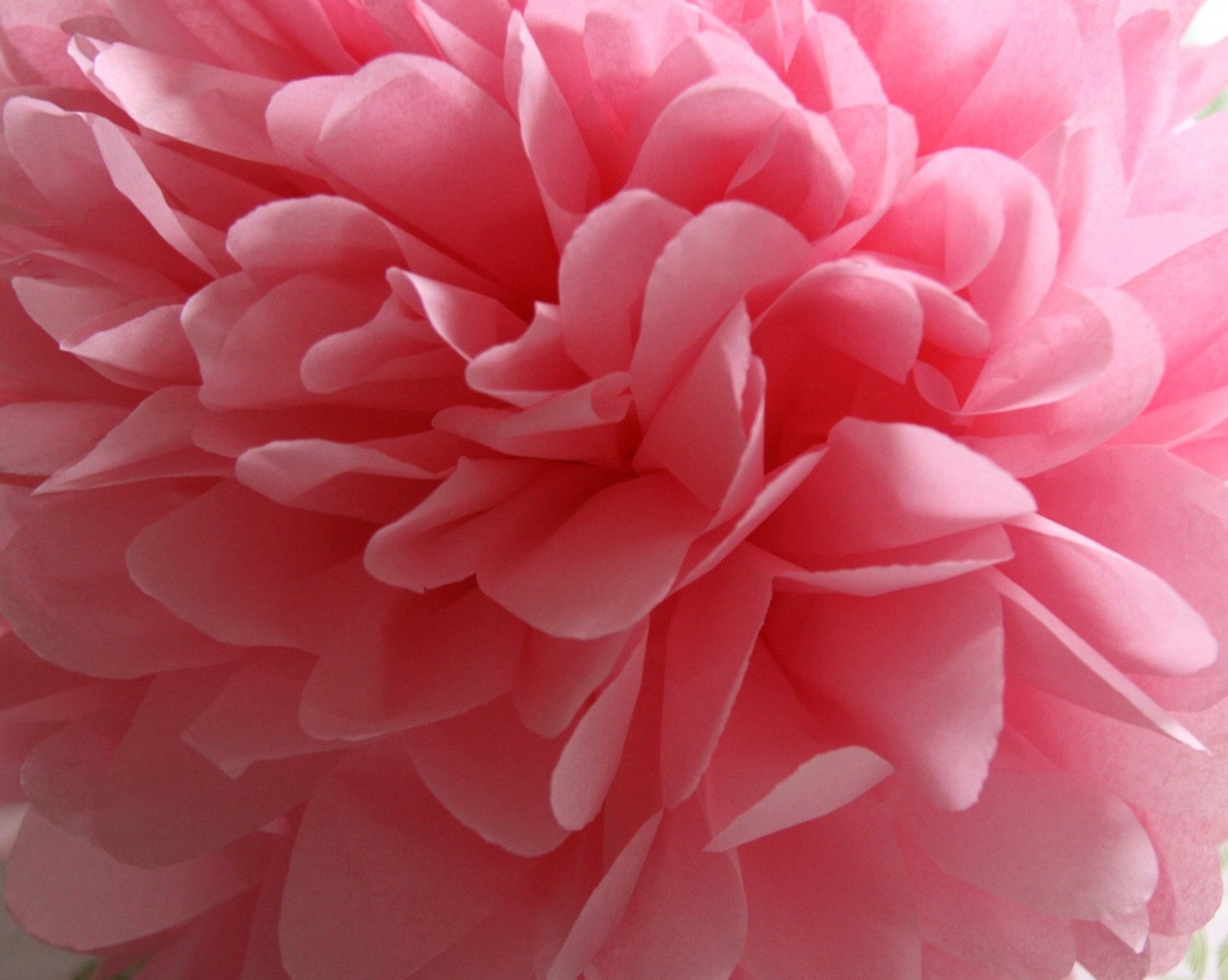 Dark Pink One Pom - Etsy