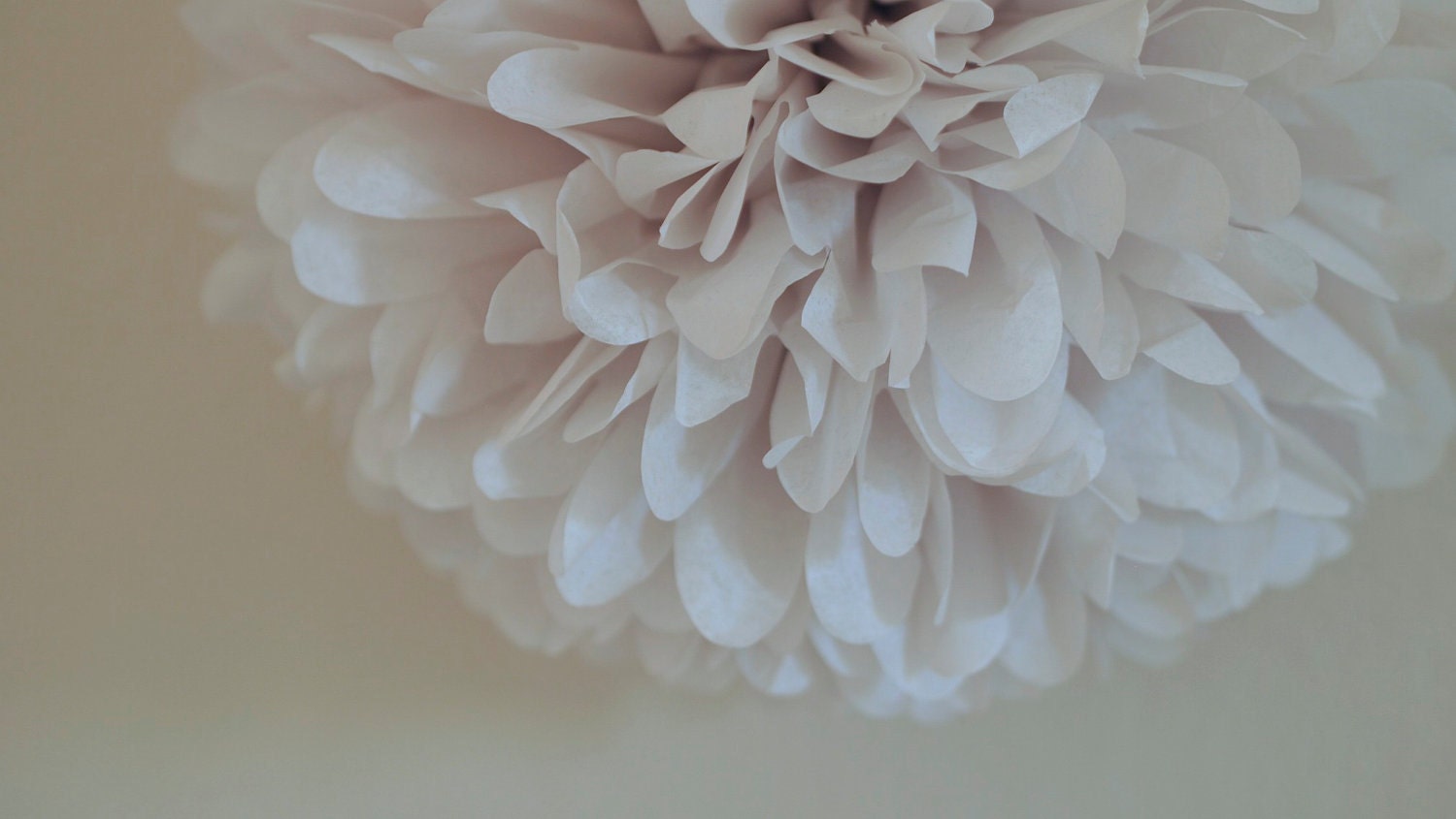 Oyster one pom | Etsy