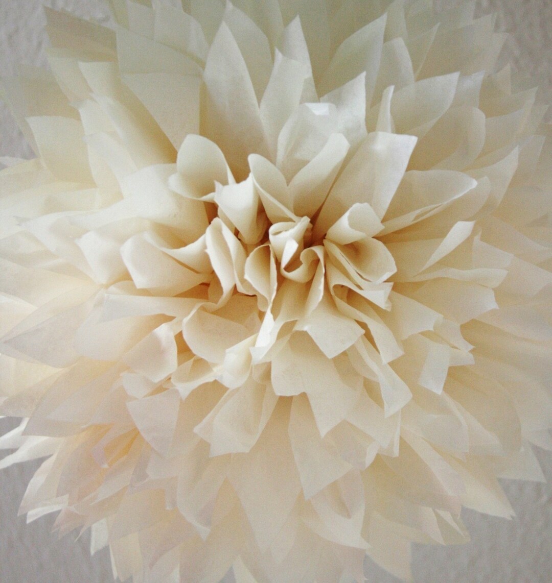 French Vanilla Tissue Paper Pom .. Wedding Decoration / Anniversary ...