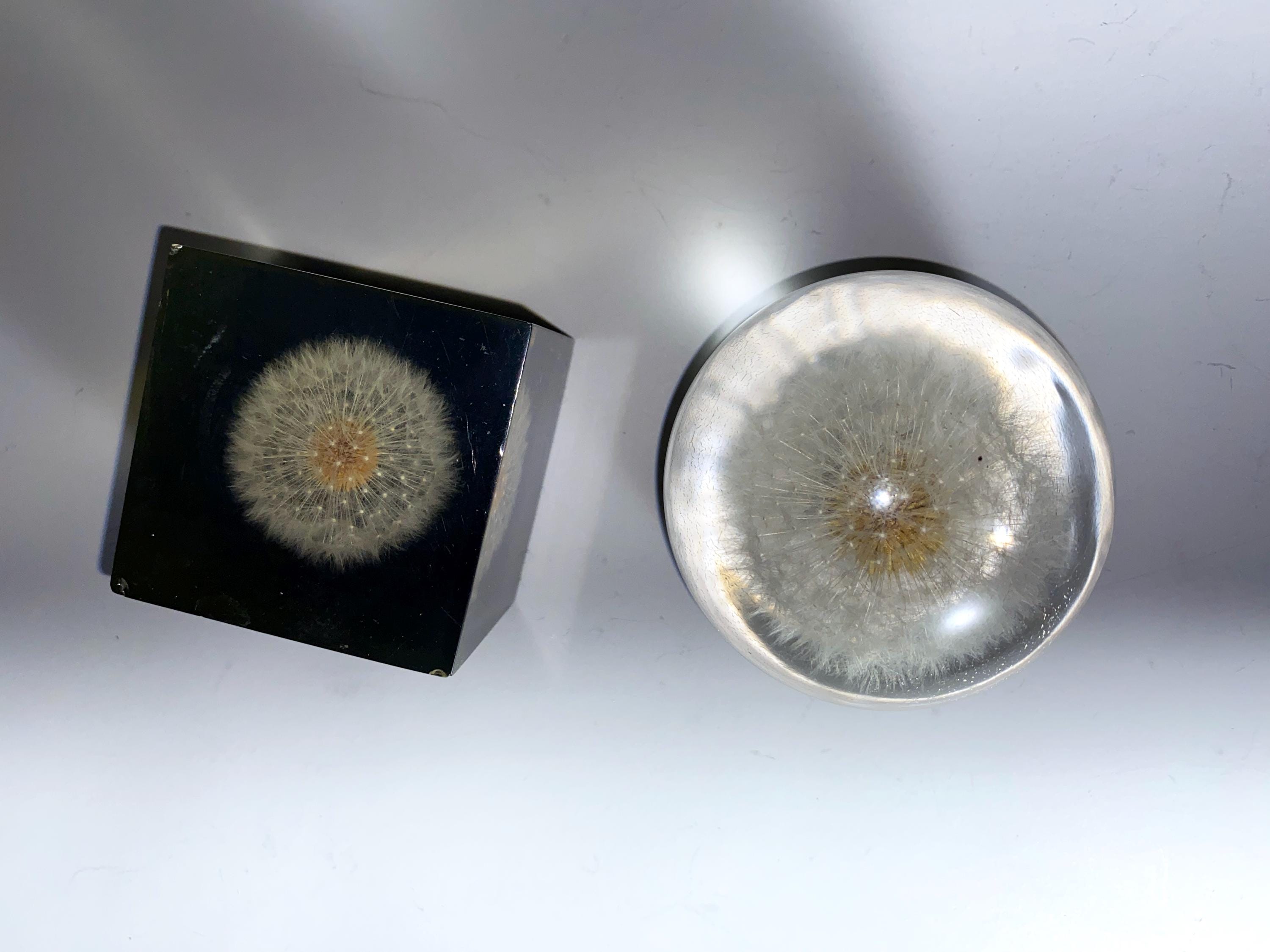 A Pair of Vintage Lucite Dandelion Paperweights From the 1960s - Etsy