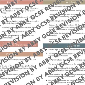 Stages of (brain) Development Revision Resources - GCSE Psychology - Etsy