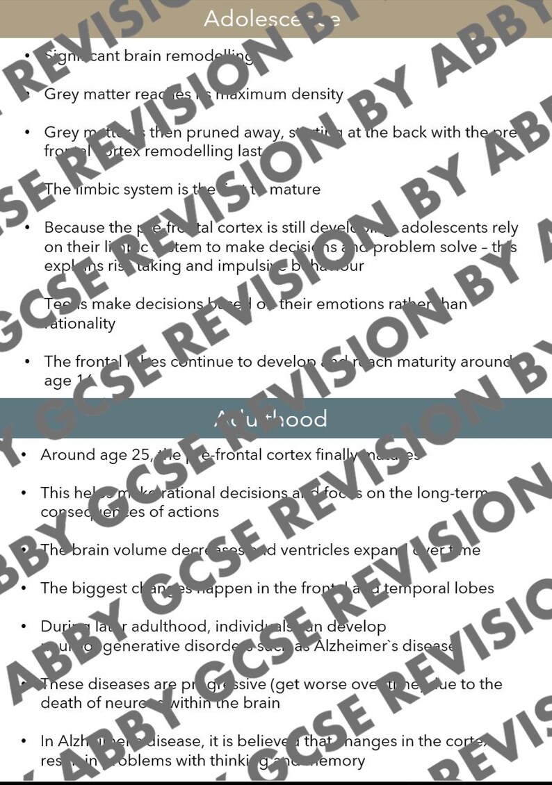 Stages of brain Development Revision Resources GCSE Psychology - Etsy