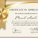 Gold Appreciation Certificate Custom Recognition Award for Achievements ...
