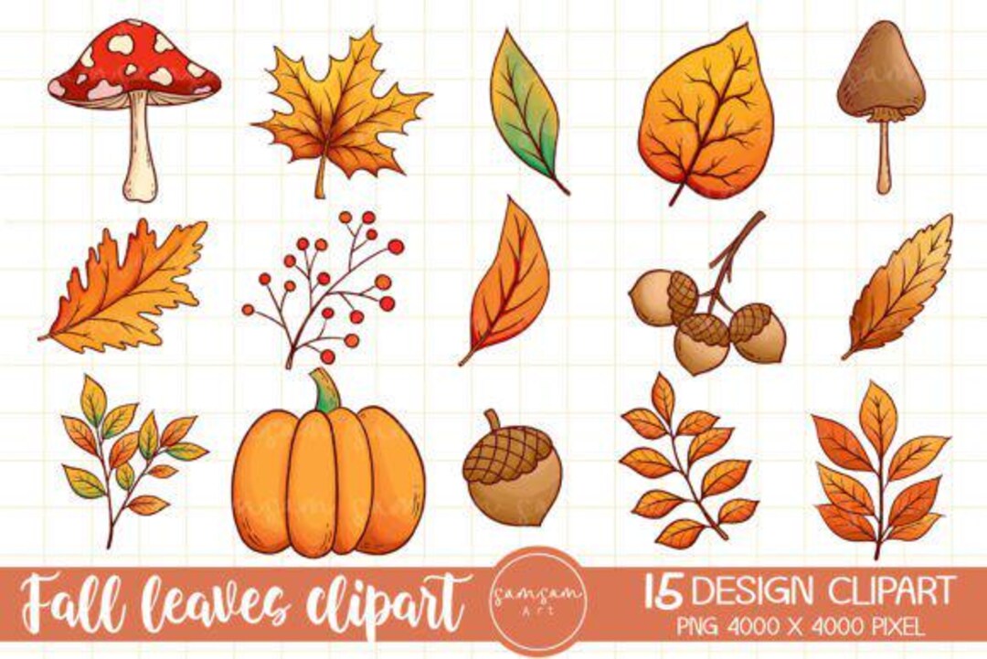 Unique Fall Leaves Sublimation Bundle | Cute Autumn Leaf Clipart for ...