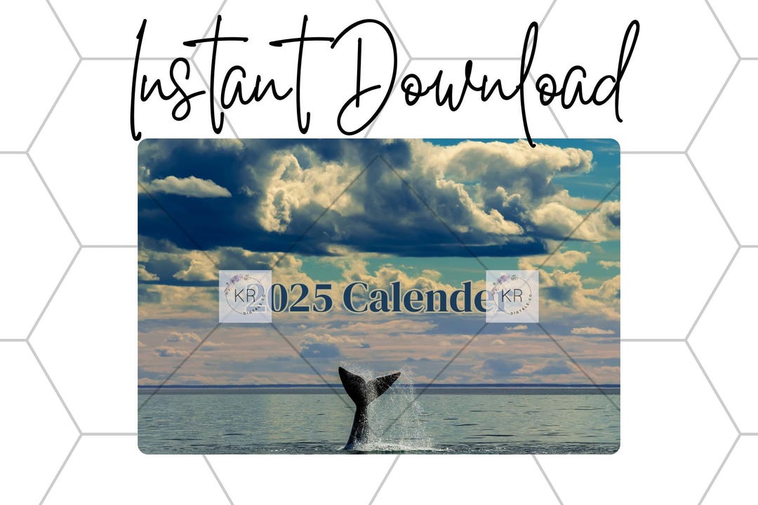 2025 Orca Calendar 11x8.5 Digital Calendar Digital Download - Etsy