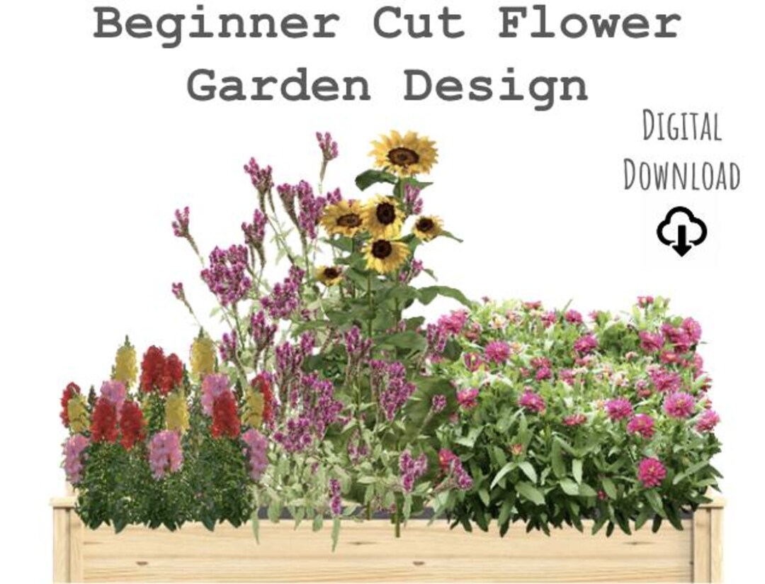 Beginner Cut Flower Garden Plan, Digital Download, Step by Step ...