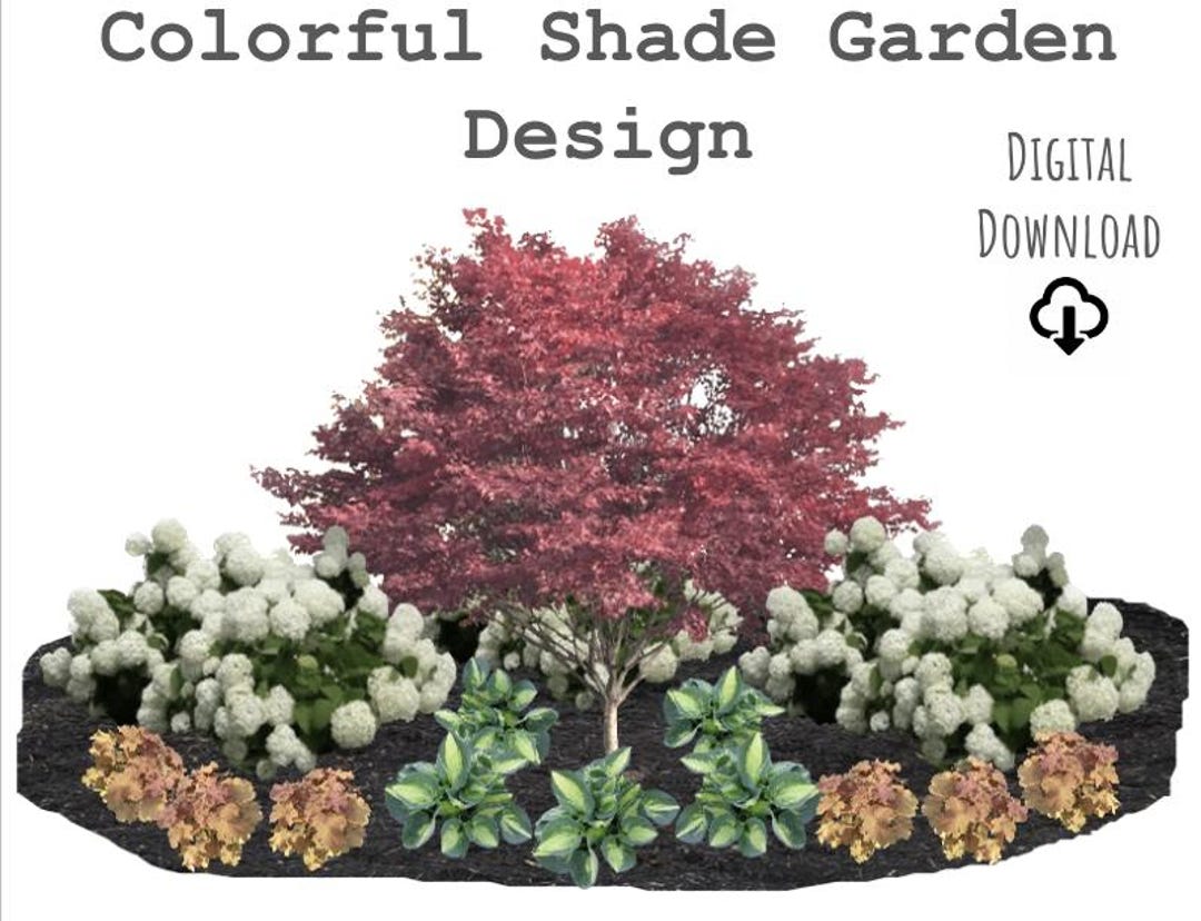 Colorful Perennial Shade Garden Design, Zones 5-8, Digital Download ...
