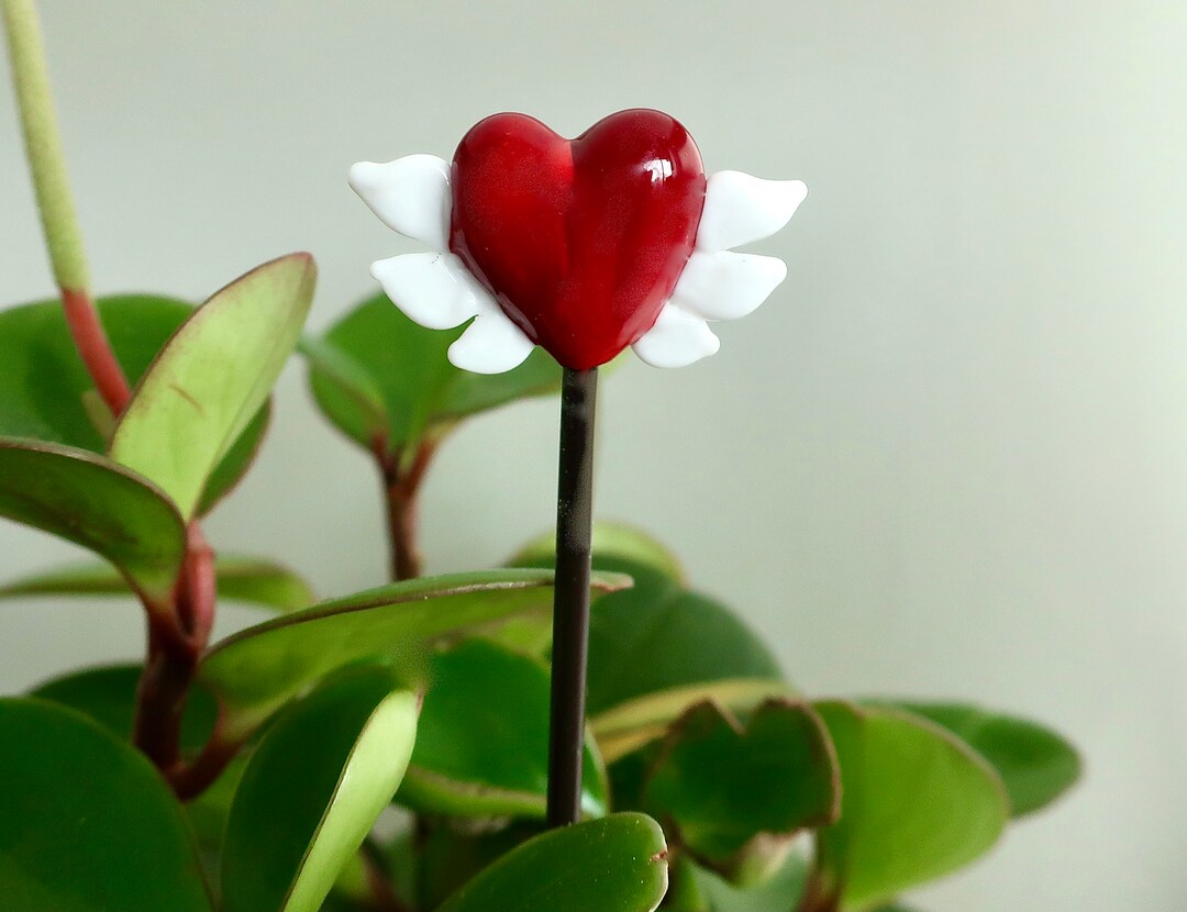 Winged Heart Plant Stake, Heart With Wings Indoor Plant Stake, Winged ...