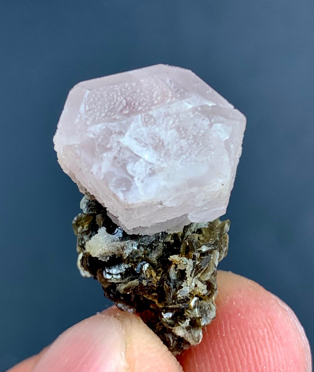 29ct UV Reactive Pink Apatite Crystal With Muscovite – Rare Fluorescent ...