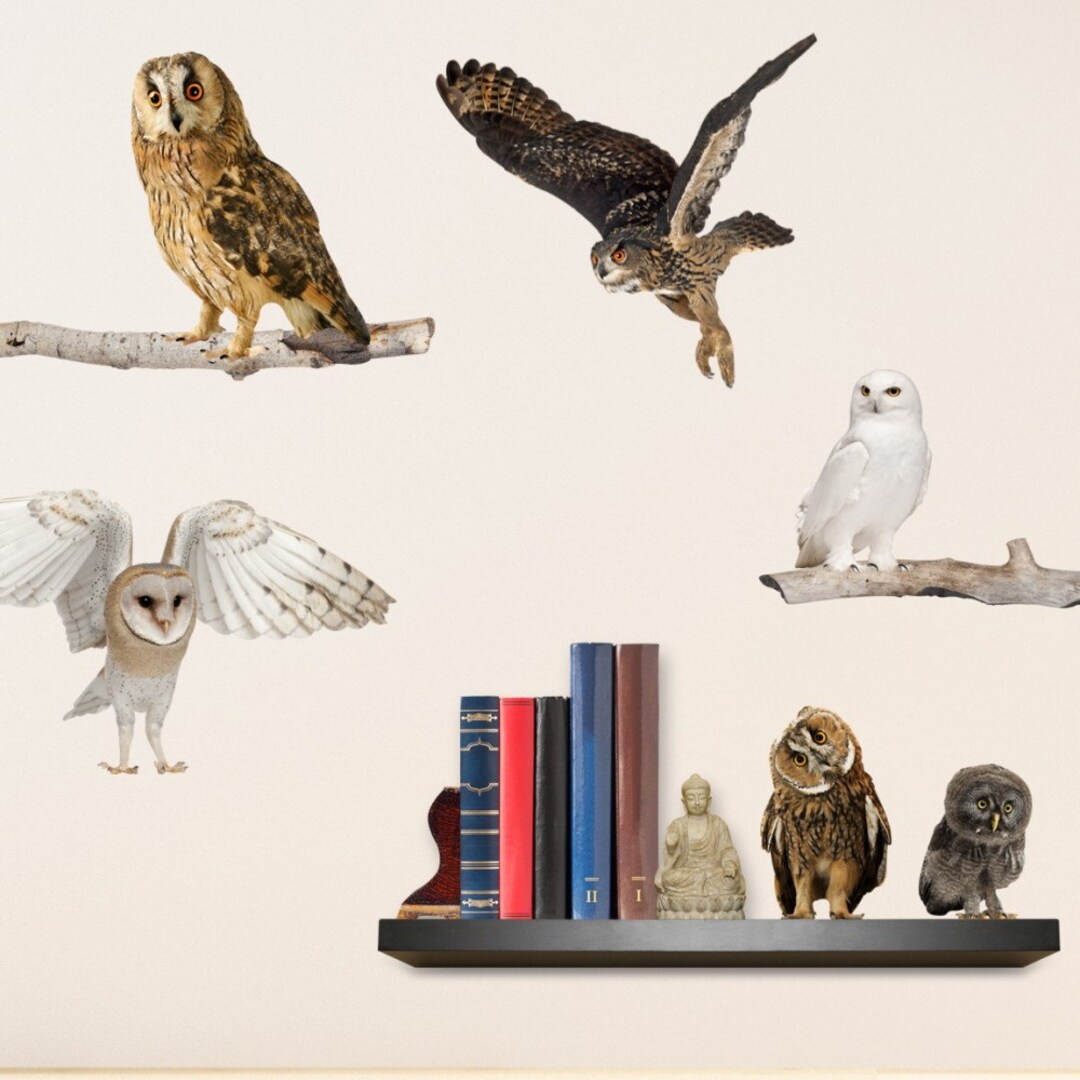 Realistic Owls Wall Decals - Etsy
