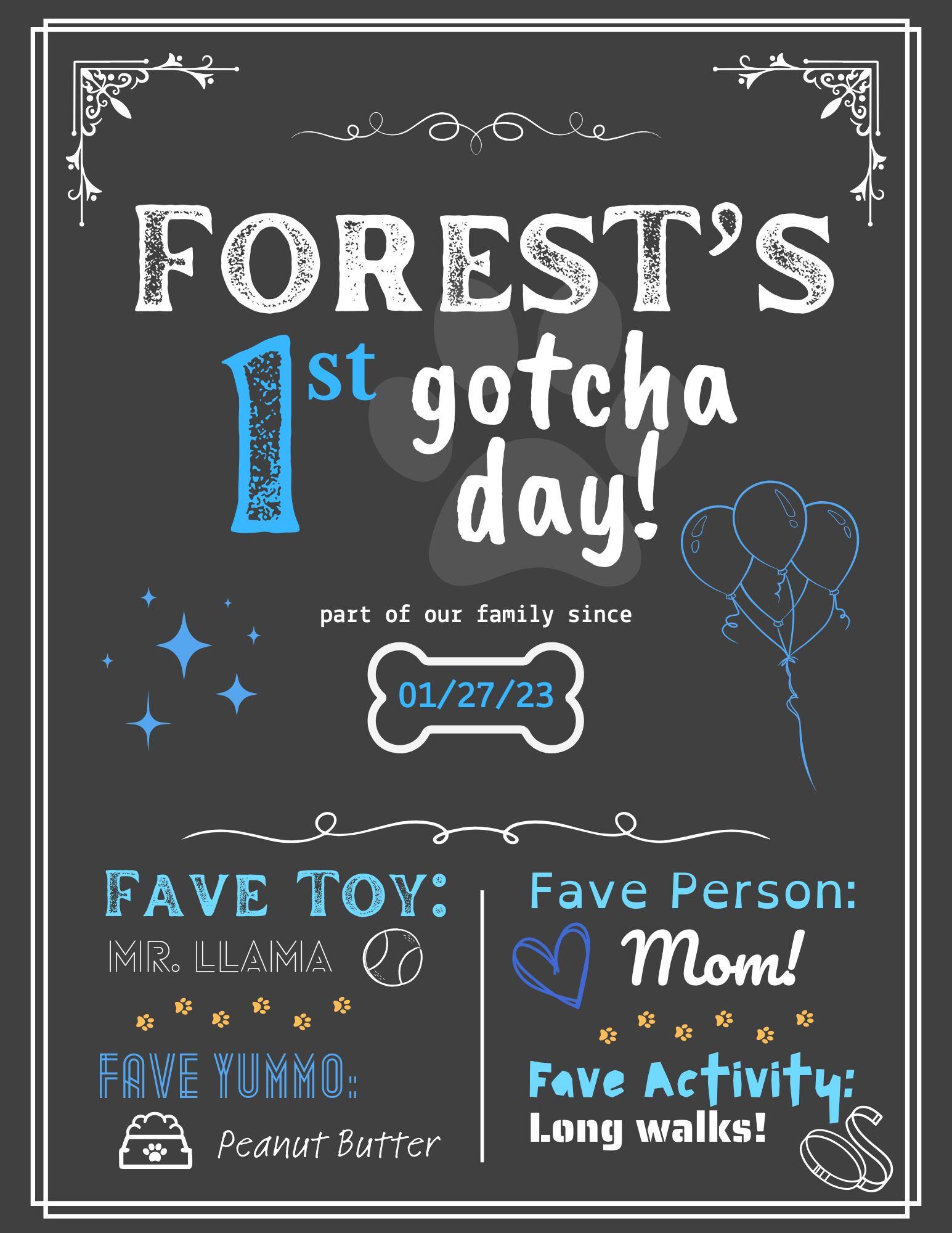 Gotcha Day Poster Digital Instant Download, Custom Canva Template, Dog ...