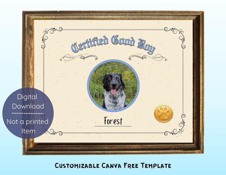 Certified Good Boy Printable Template, Digital Download, Editable, 8.5 ...