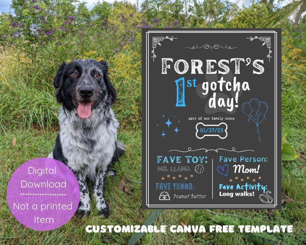 Gotcha Day Poster Digital Instant Download, Custom Canva Template, Dog ...